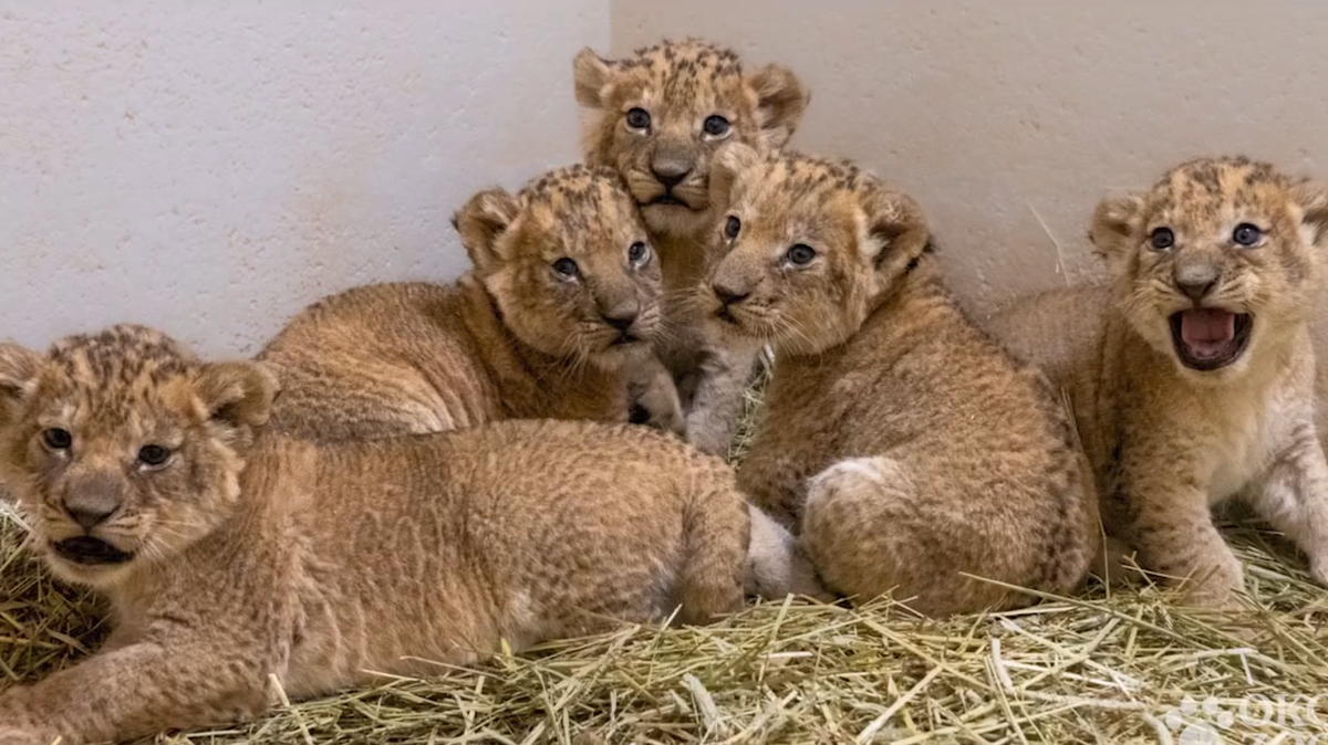 Jonathan Greco - Journalist Profile - Intelligent Relations