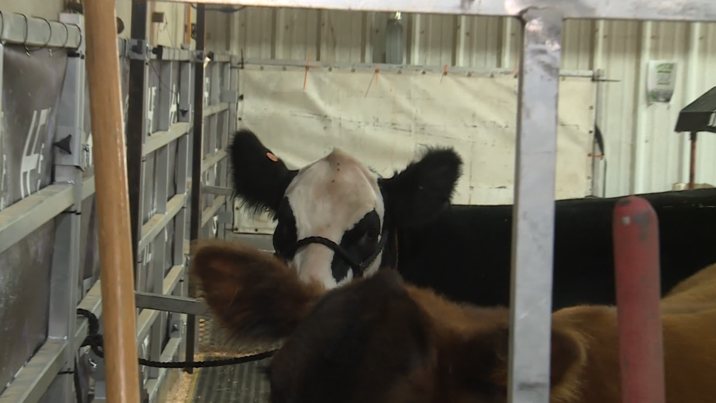 Oklahoma Youth Expo kicks off Wednesday at state fairgrounds