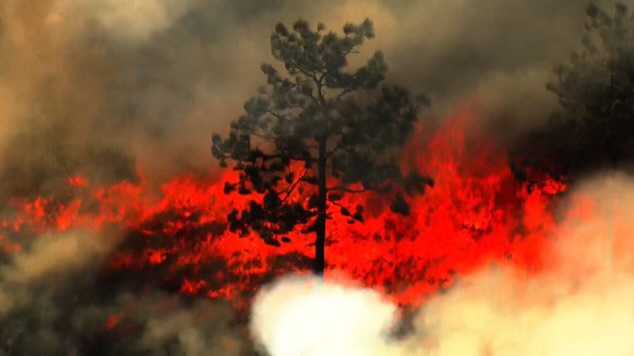 VIDEO: Massive fire spotted in Osceola County