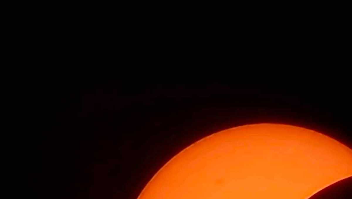 PHOTOS: 2024 solar eclipse in Southwest Florida