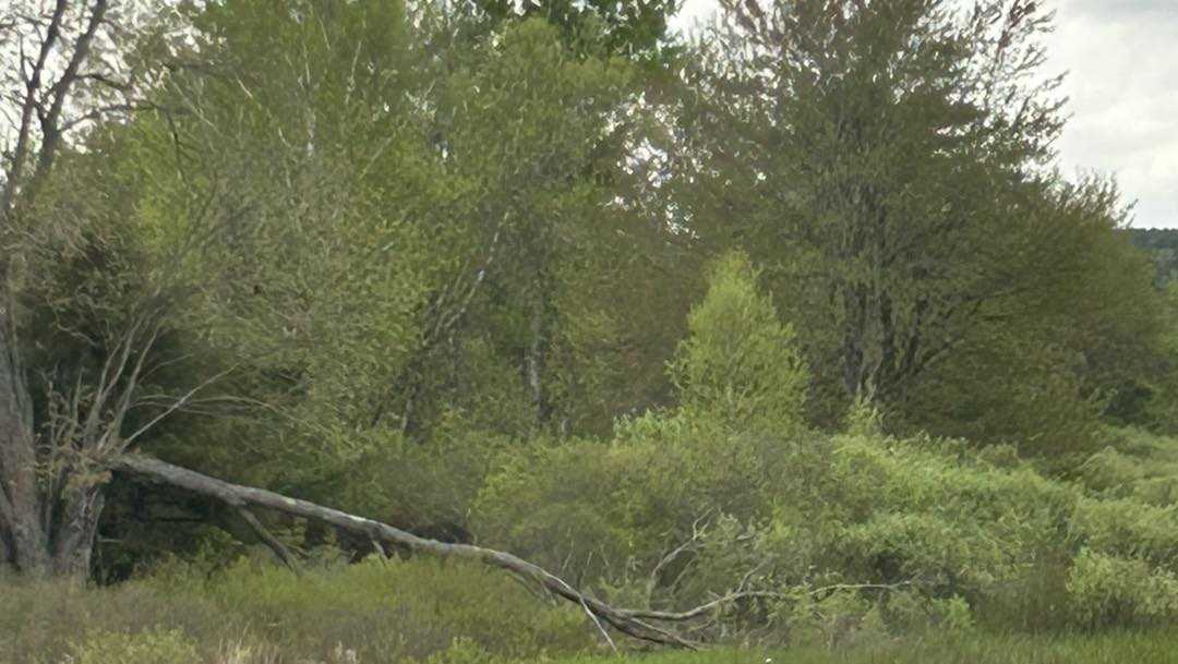 2 rescued after canoe accident in Orrington