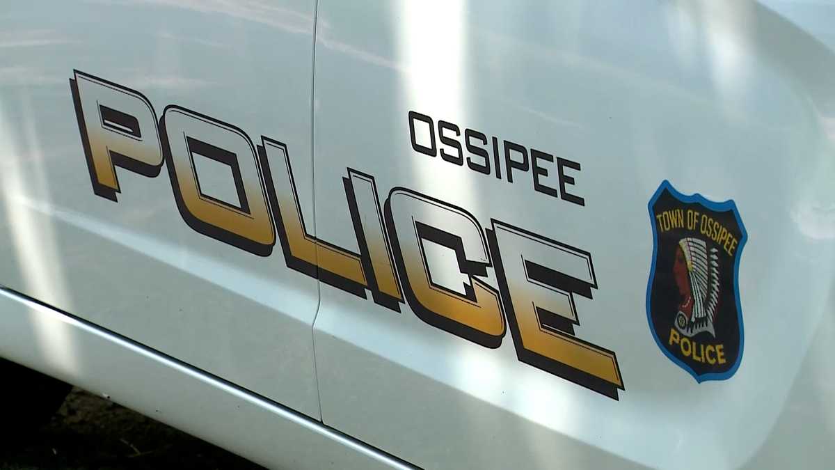 Dog killed by hit-and-run driver in New Hampshire, police say