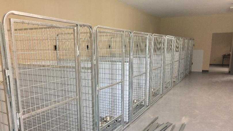 First-ever animal shelter in Buchanan, Fayette counties opens soon