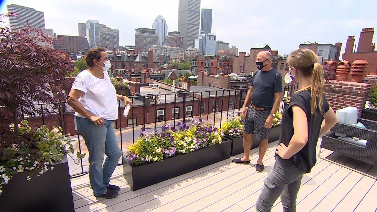 Creating roof deck gardens in Boston