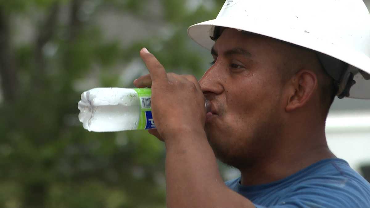 Addie Meiners - Journalist Profile - Intelligent Relations