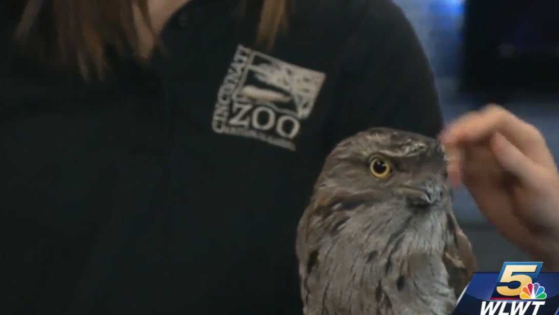 Cincinnati Zoo celebrates animal caretakers during National Zookeeper Week