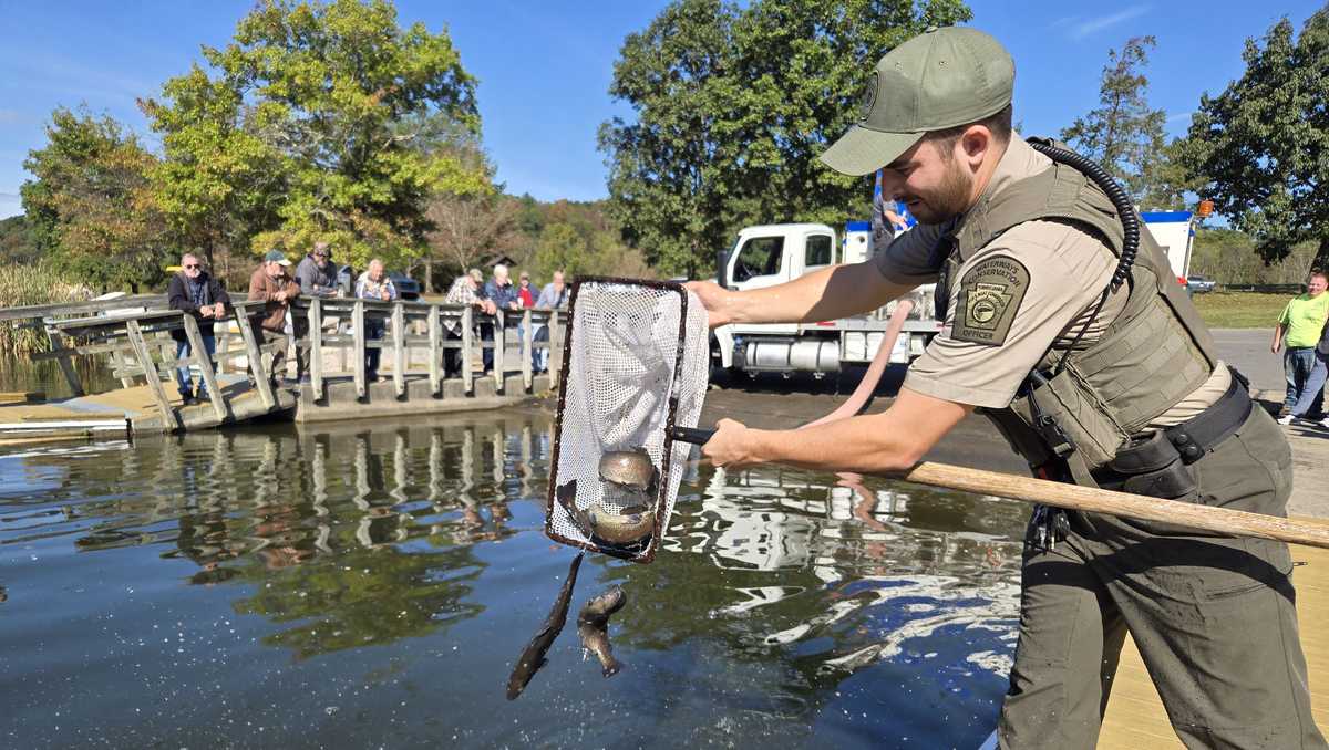 Fall trout stocking begins in Pennsylvania, Holman Lake stocked with ...