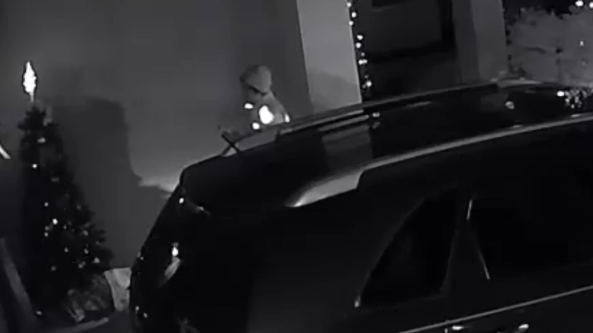 Deliveryman Caught On Camera Stealing Package