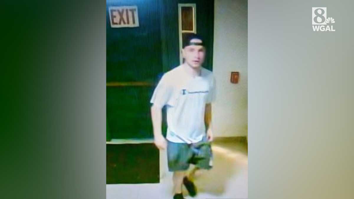 Police say suspect stole multiple packages in York County, Pa.