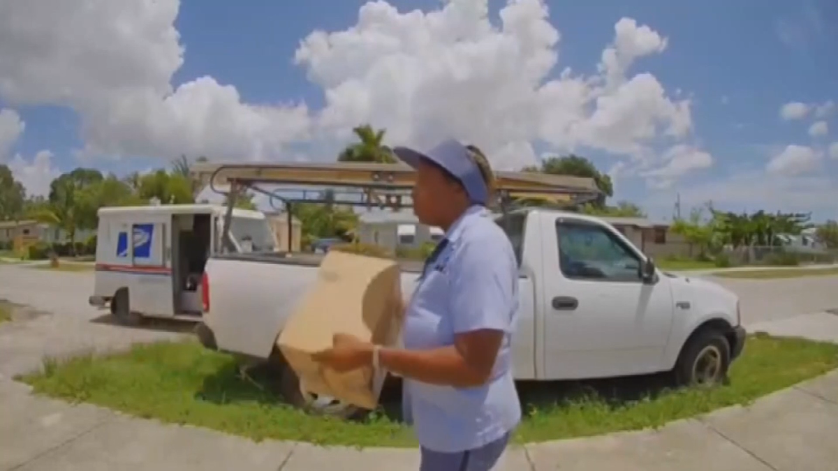 Postal worker caught on camera throwing Florida family’s packages