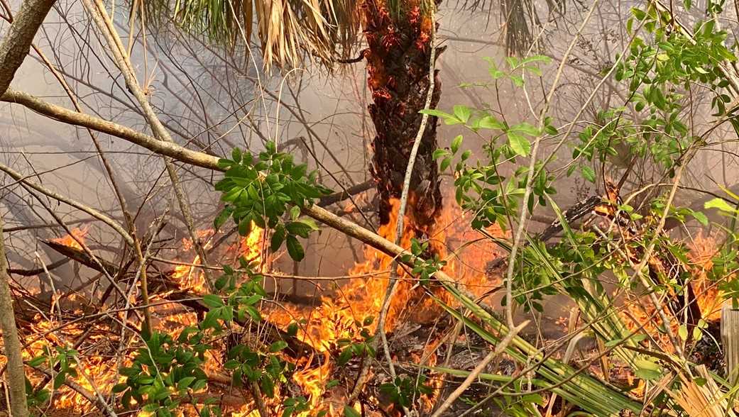 Martin County firefighters working to contain Palm City brush fire