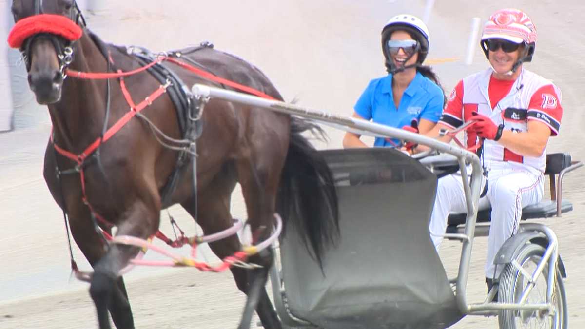 Dave Palone: Ride along with the world's best harness racer