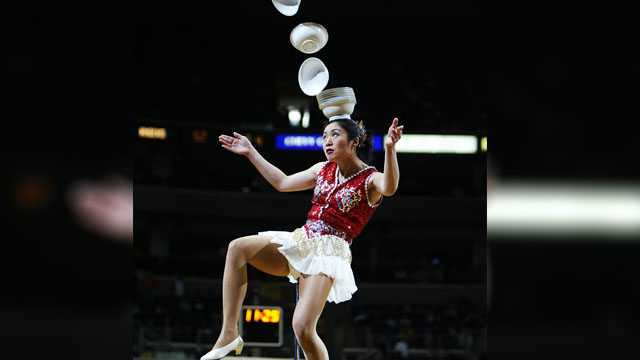 Report: Someone takes off with Red Panda Acrobat's 7-foot unicycle
