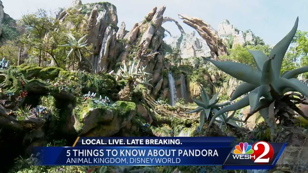 5 things to know about 'Pandora: The World of Avatar'