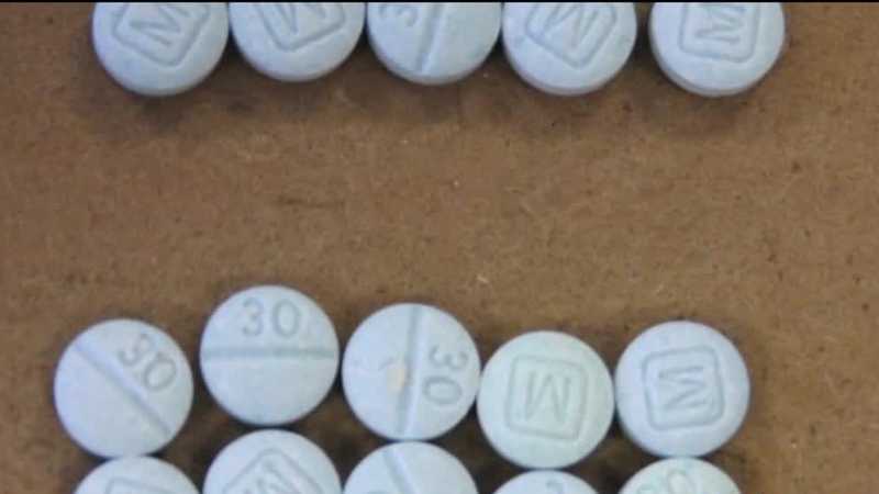 Florida leaders address efforts to combat drug overdoses