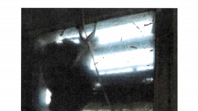 Thompson releases photos of prison conditions