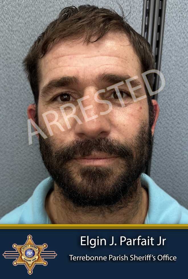 Theriot man arrested, accused of sex crimes with minors