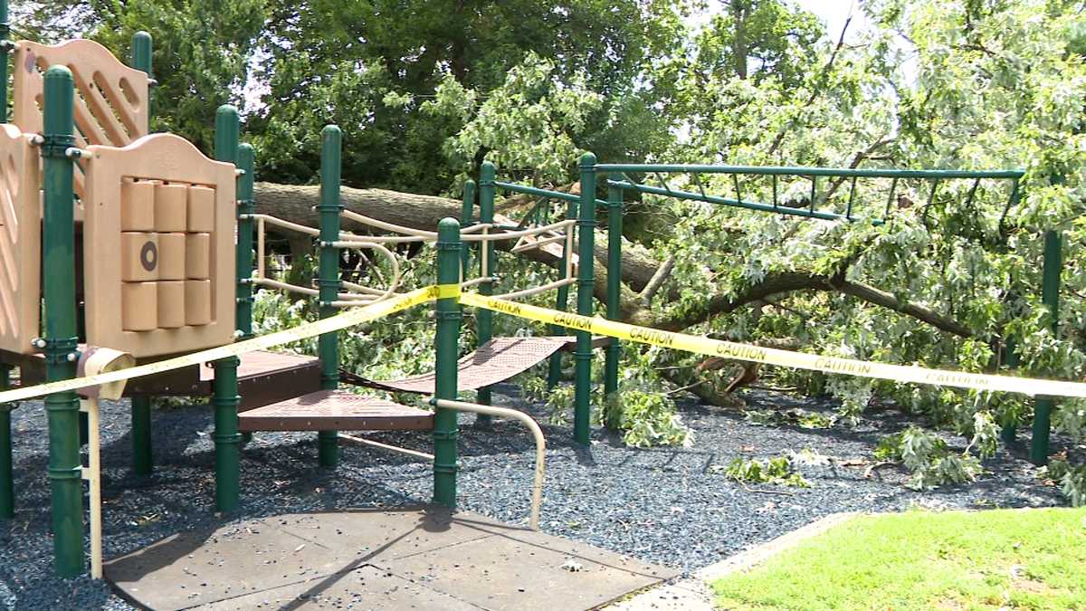 Highlands playground closed after massive tree falls on it