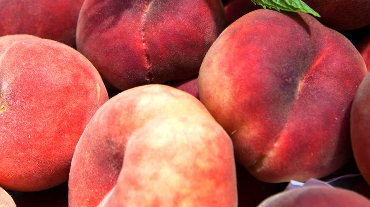Recall issued for peaches sold at Hannaford stores in Maine Recall issued for peaches sold at Hannaford stores in Maine