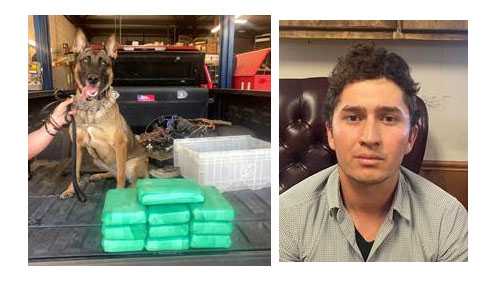Rankin County deputies seize 20 pounds of cocaine; Texas man in custody