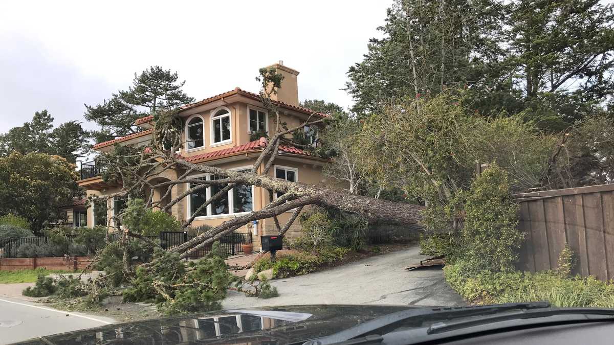 More trees down around Pebble Beach and Del Monte Forest