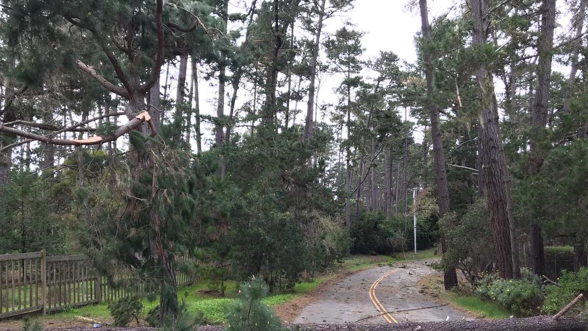 More trees down around Pebble Beach and Del Monte Forest