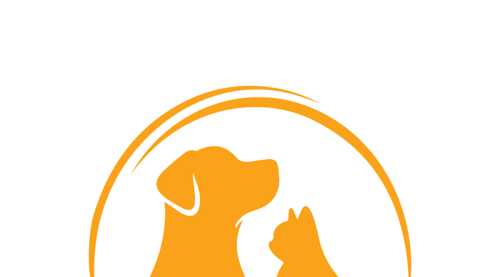 Peggy Adams seeking loving home for 4-year-old Spot