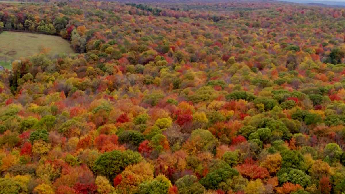 Aerials of stunning fall foliage captured over Western Pennsylvania