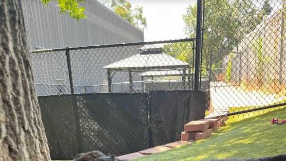 Meet the Nebraska Humane Society's pet of the week