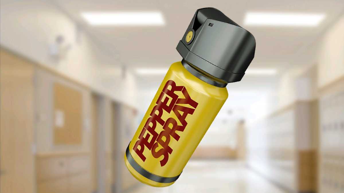 Police pepper spray students involved in fight at Florida middle school