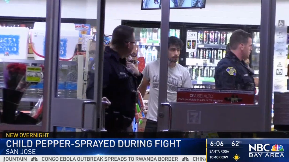 Mother assaulted, children possibly hit with pepper spray in San Jose