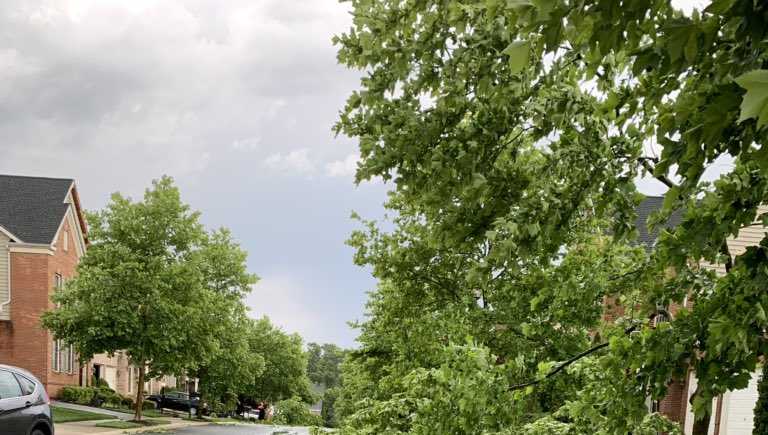 Storm damage across Maryland