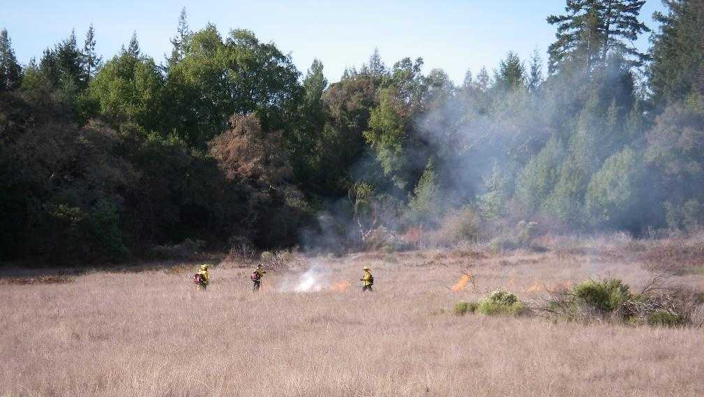 Prescribed burns planned at California state park over three weeks