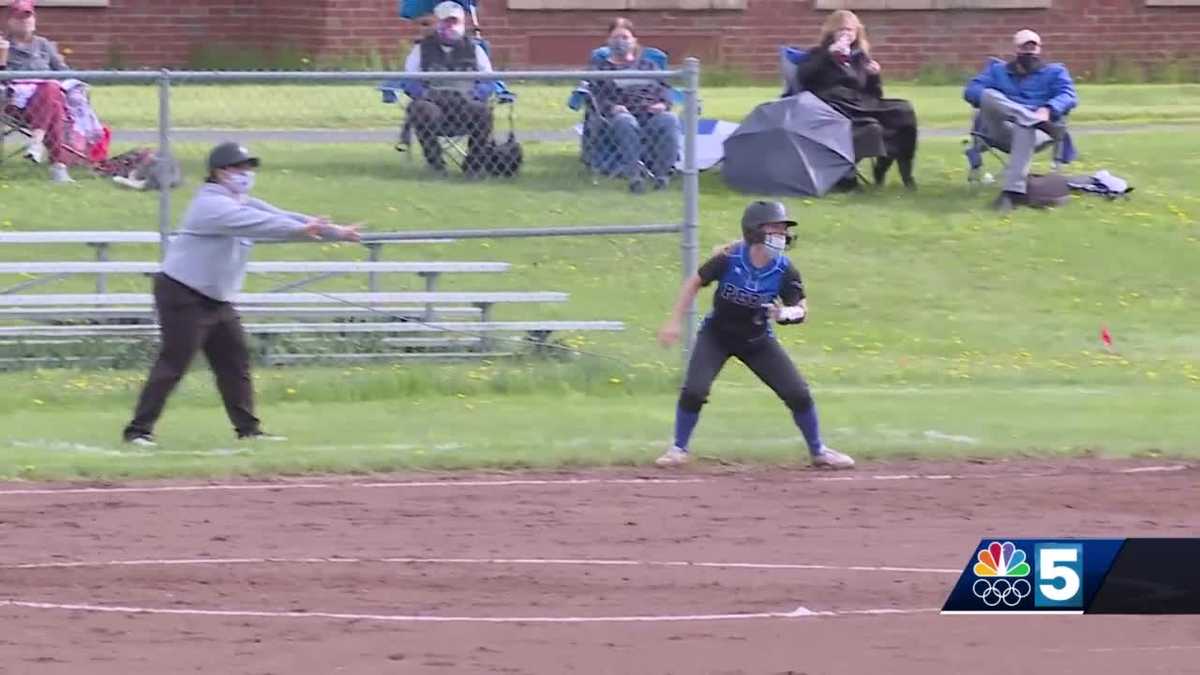 Rain Didn't Stop the Nighthawk Bats