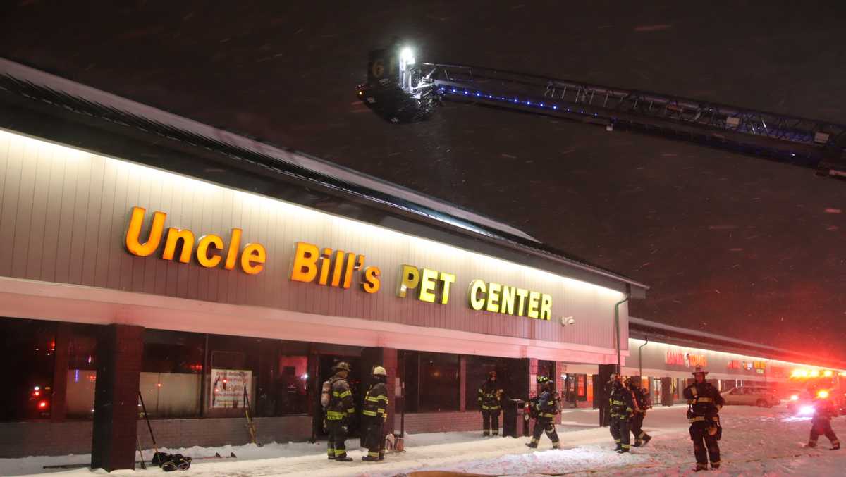 Overnight fire kills 100 animals at Indiana pet store