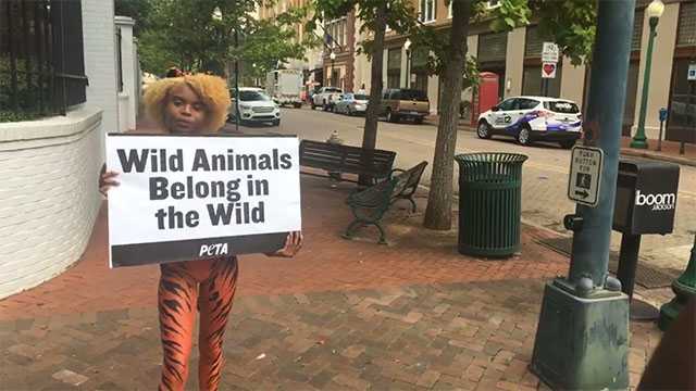 PETA ‘tiger’ protests UniverSoul Circus