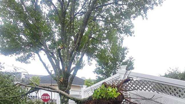 Photos: Tornadoes, severe storms tear through Cape Cod