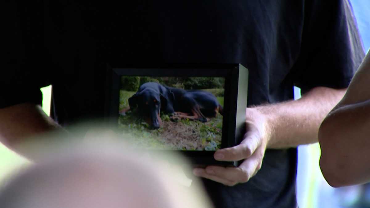 Families mourn pets after discovering fake ashes from Eternity Pet Memorial