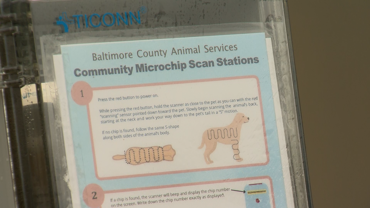 Micro-chip stations coming to help lost pets find way home