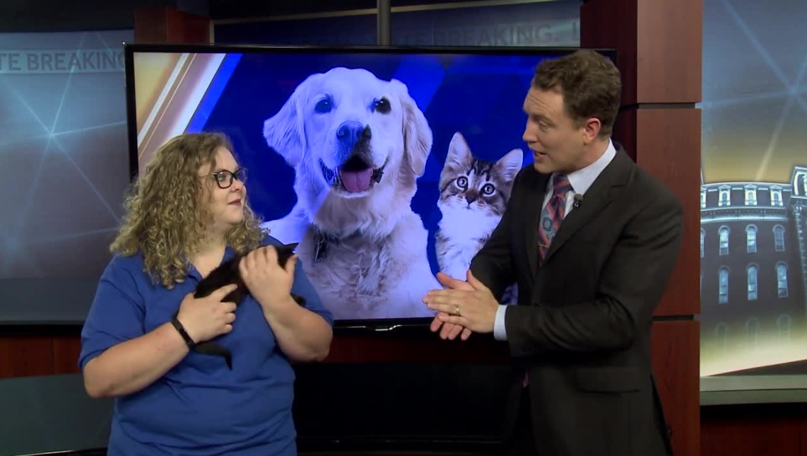 Pets on Set Meet Shira