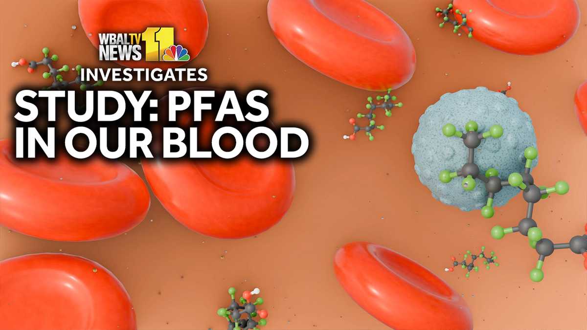 Study finds 'potentially harmful' levels of PFAS in Marylanders