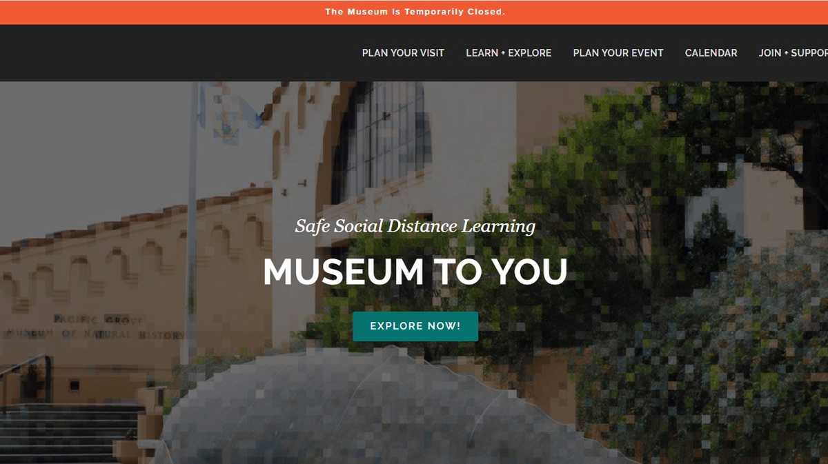 Pacific Grove Natural History Museum moves online