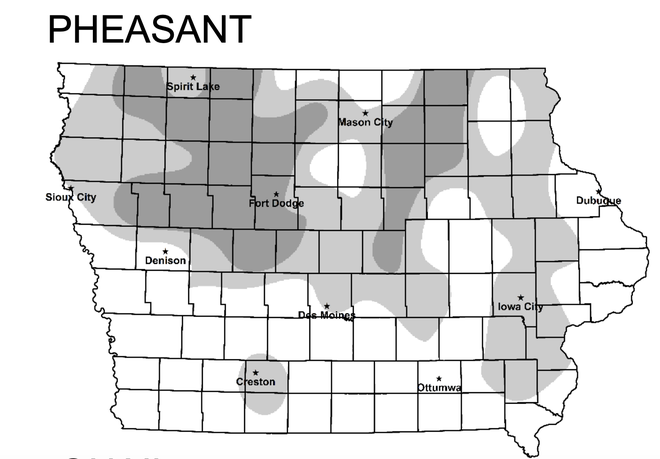 Iowa pheasant hunting: Regular season opens Oct. 26
