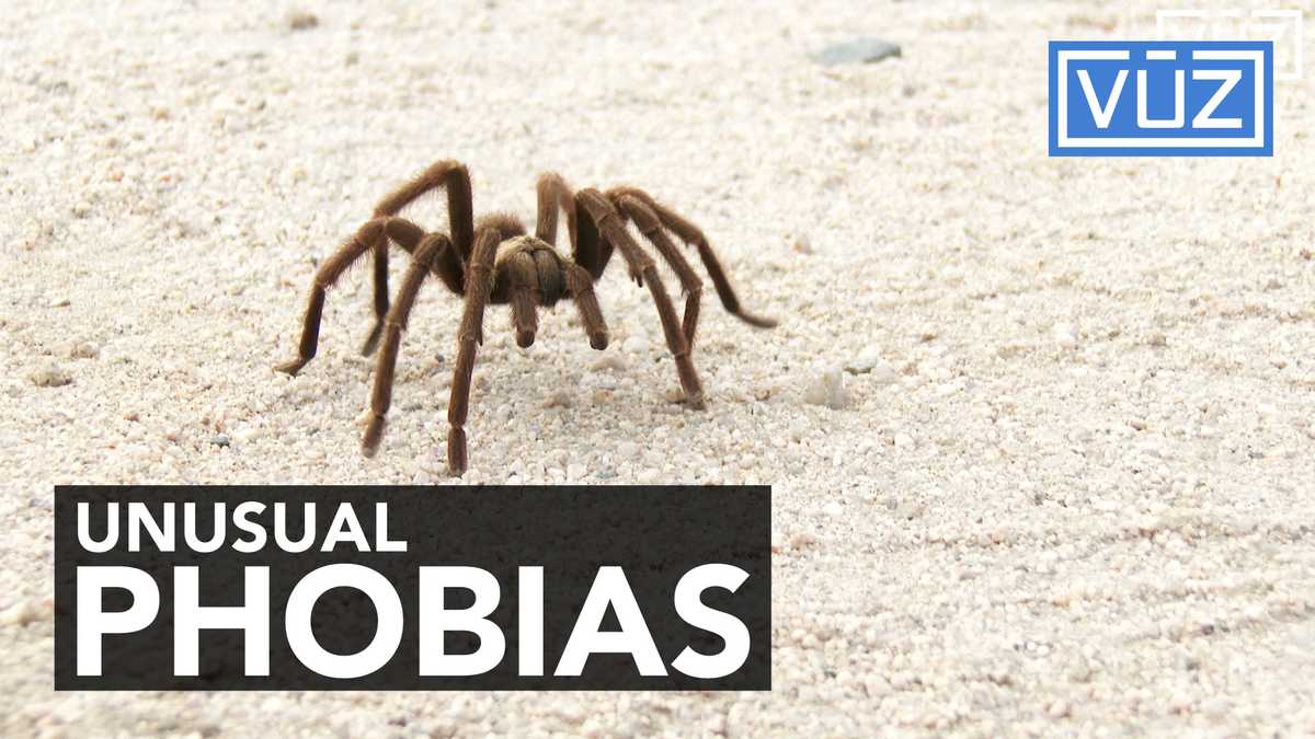 Scary Stuff: Three real, unusual phobias