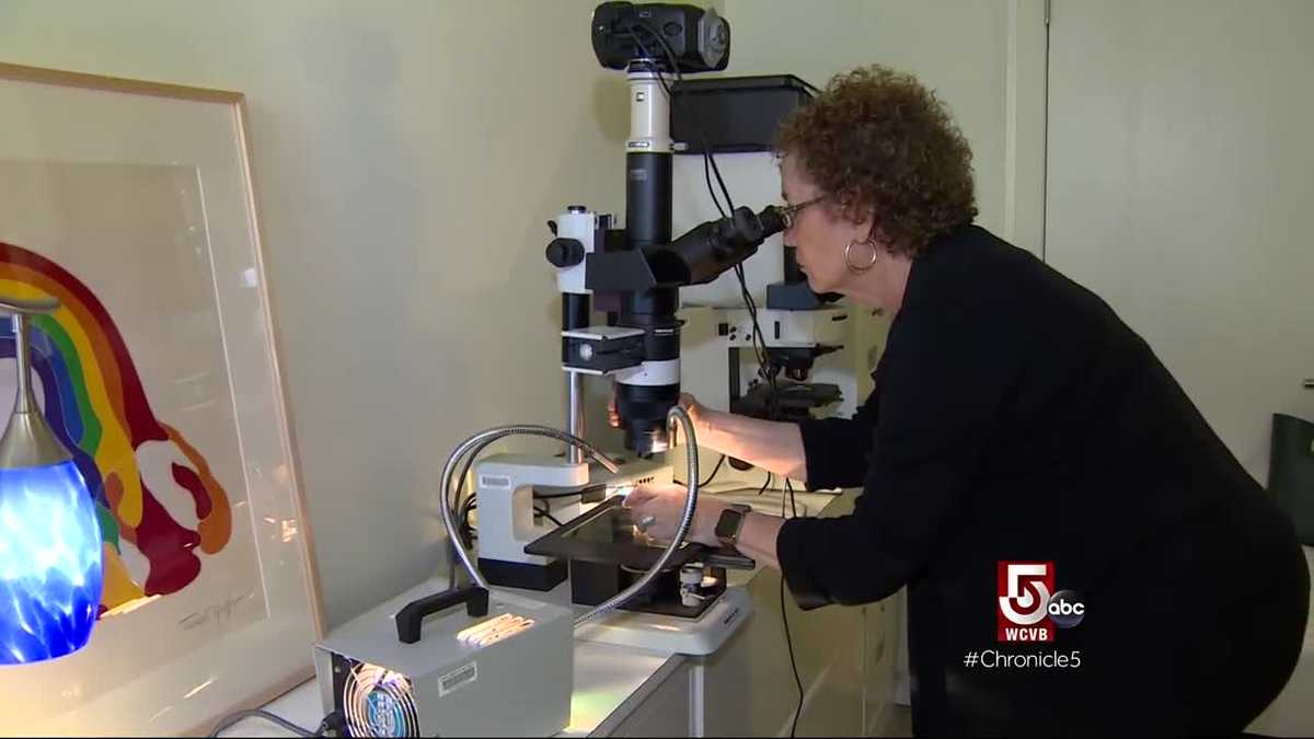 Life Through the Lens: Felice Frankel