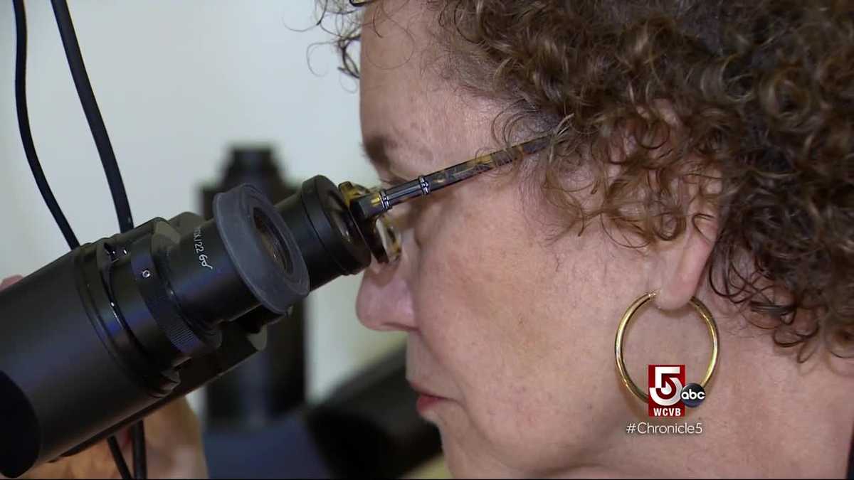 Photography: Felice Frankel