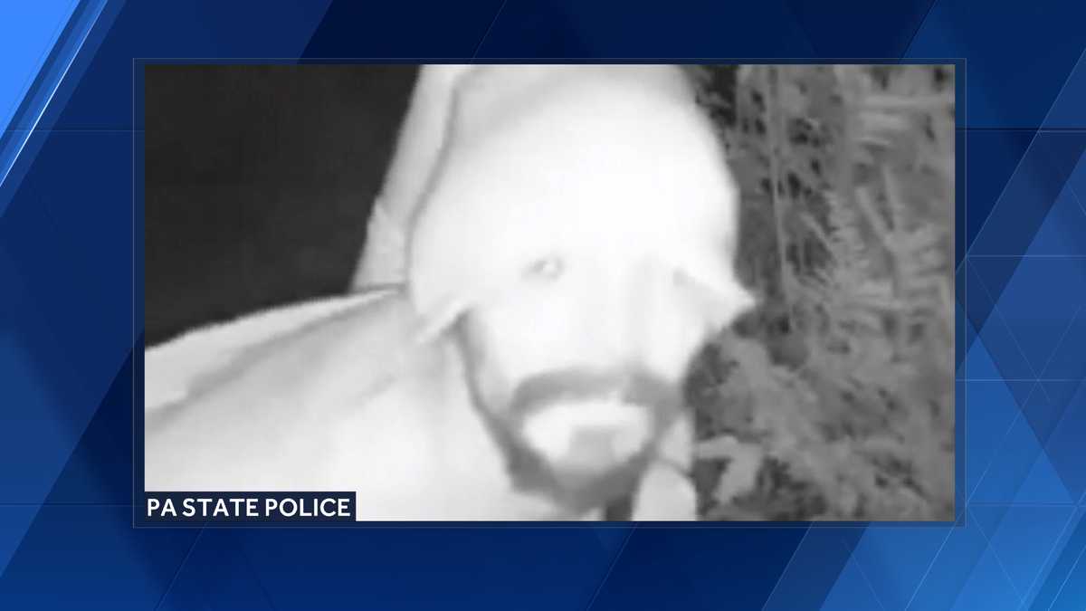 State Police Searching For Man Who Broke Into Westmoreland County Home