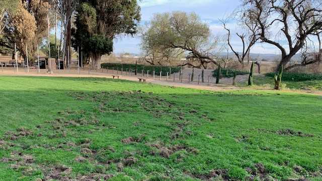 Wild pigs destroying parks in south Monterey County