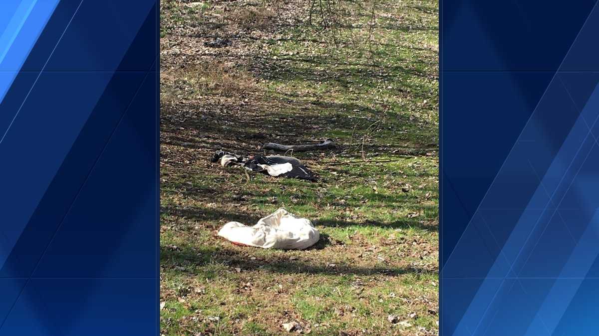 Pig found dumped, mutilated in Shawnee Park, LMAS says