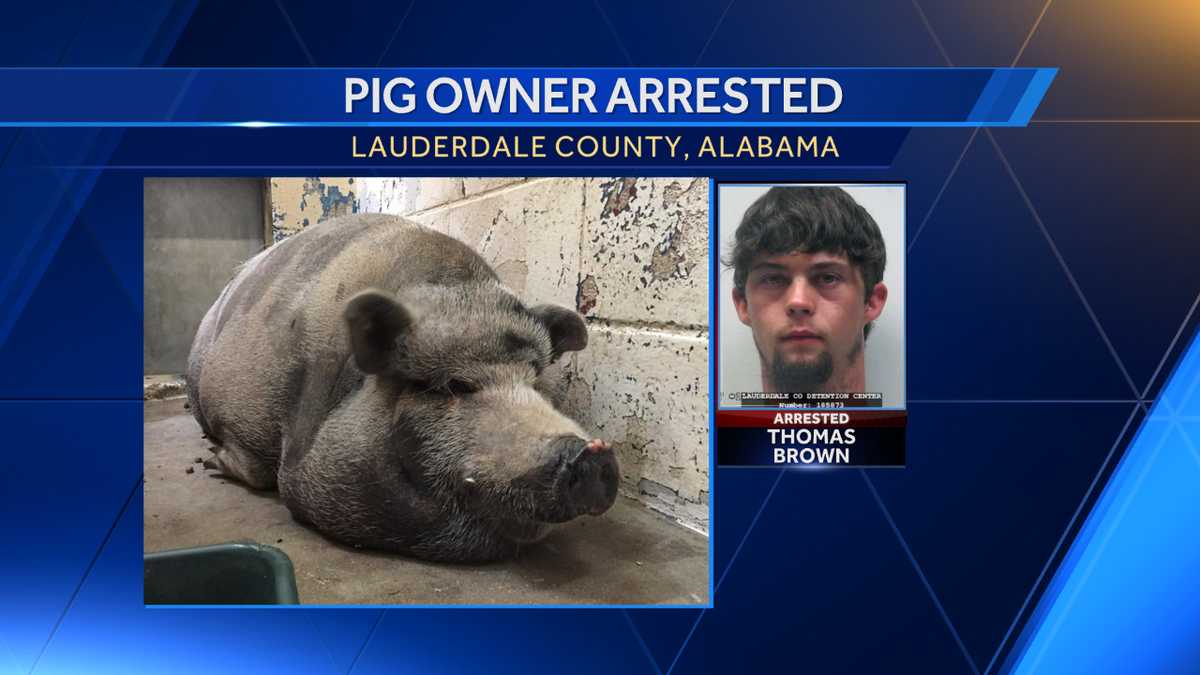 North Alabama man, 21, arrested on charges his 350-pound pig attacked ...